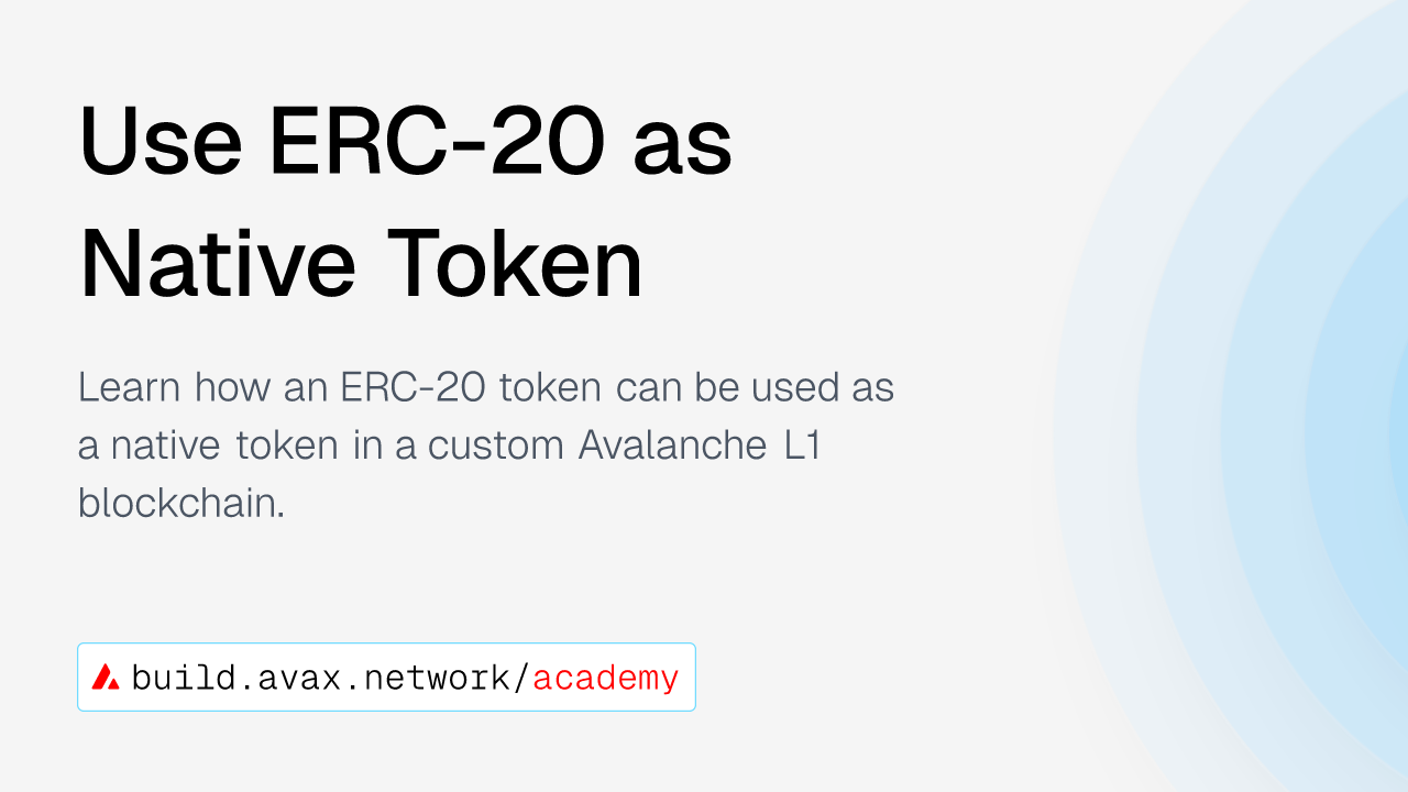 Use ERC-20 as Native Token | Avalanche Builder Hub